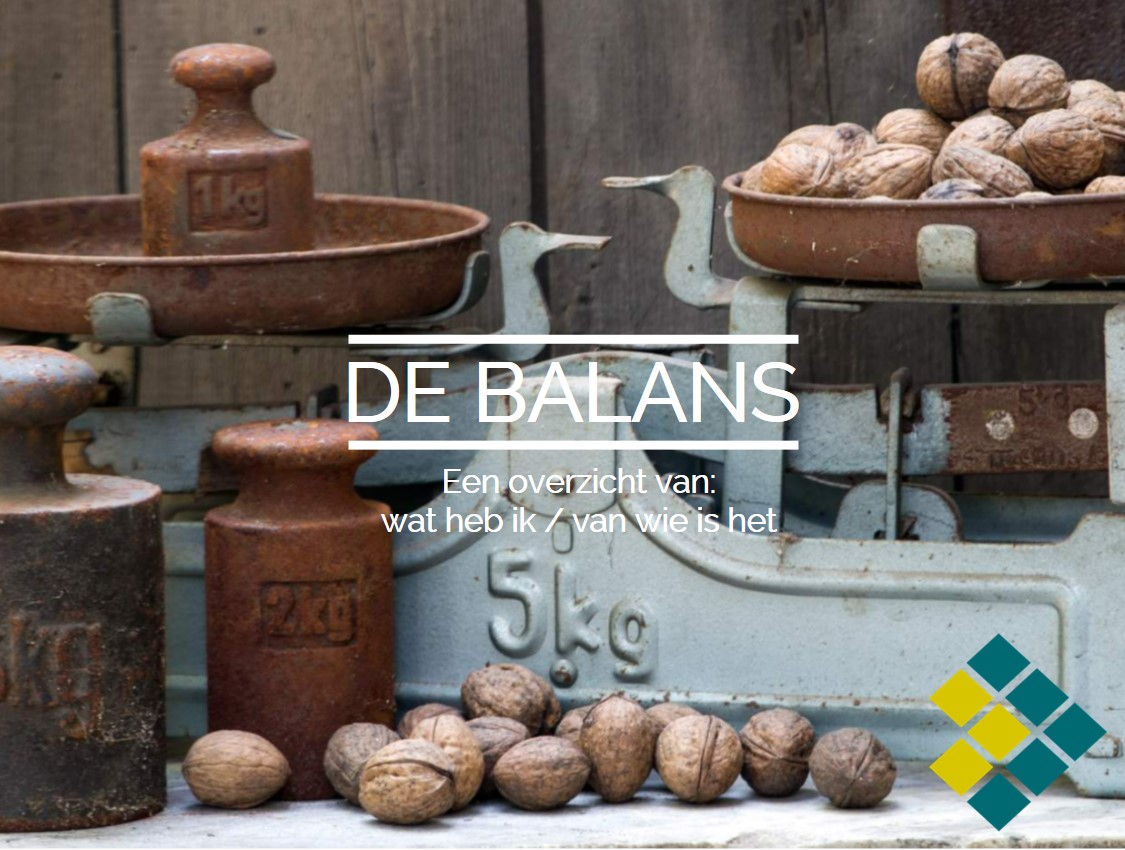 Whitepaper de balans - uitleg en doel - Finance for Non-Financials
